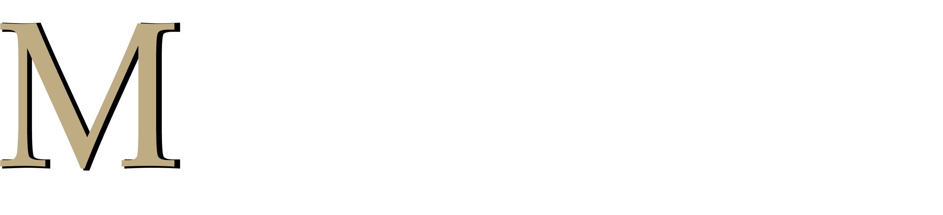 MG Management Group